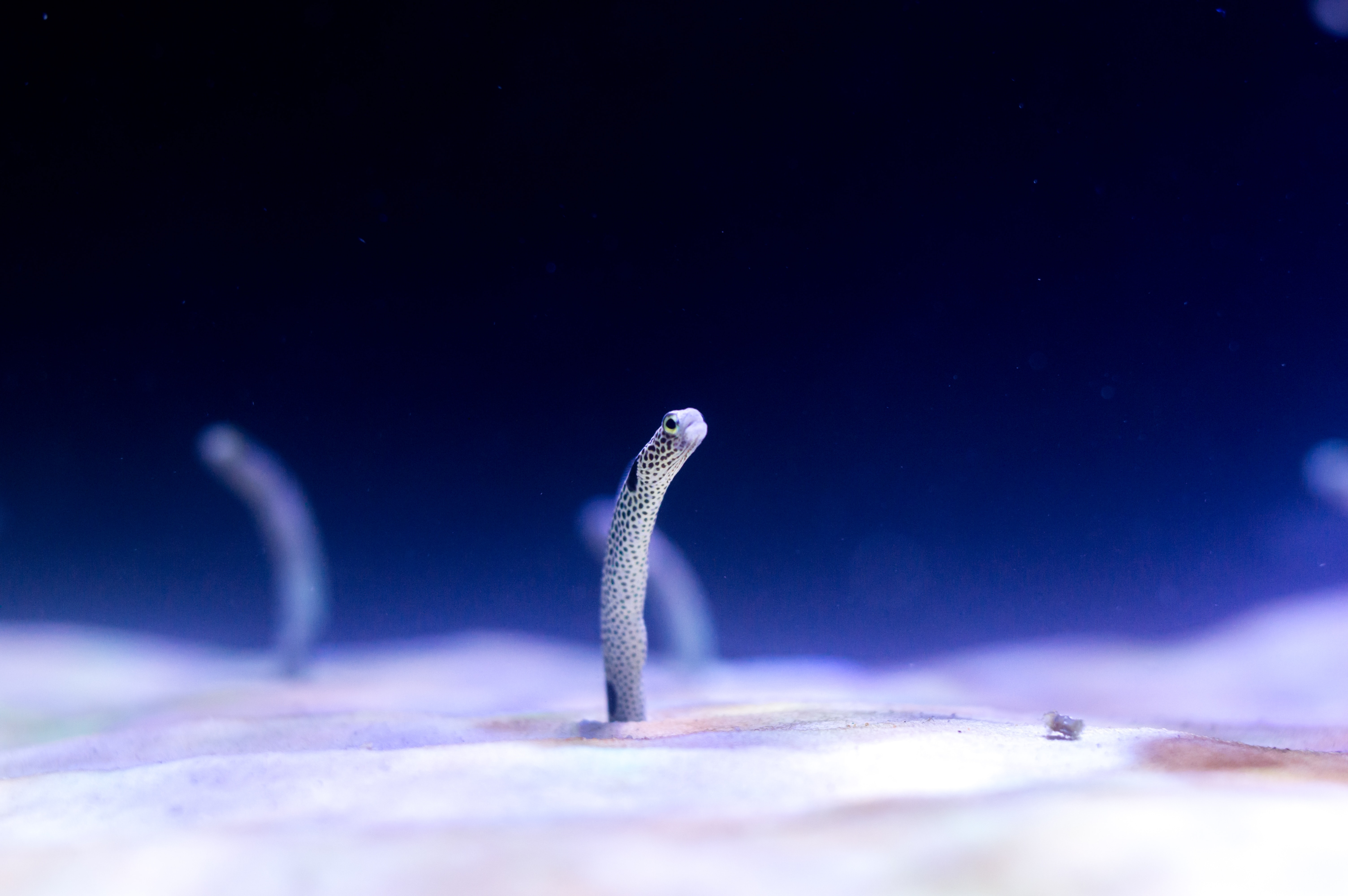 「底を打つ」「山を超える」は英語で？｜メイクイット英語塾